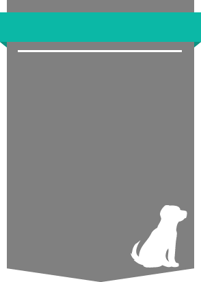 symptoms-bkg-image - Canine Addison's Resources & Education (CARE)